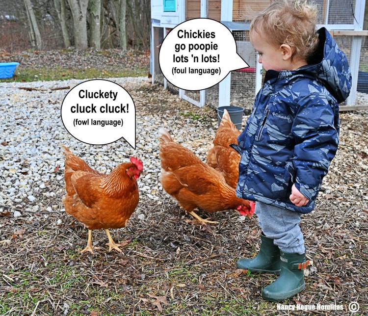 The Perils of Foul (Really Fowl!) Language – 5 SECOND SMILES :)